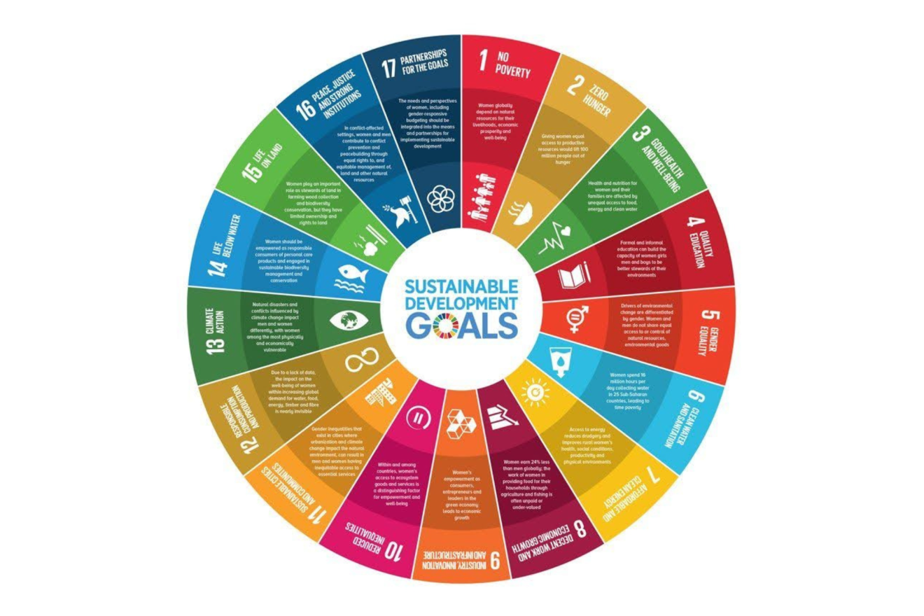 Ecogames Makes Sustainable Development Goals (SDGs) Accessible for All ...
