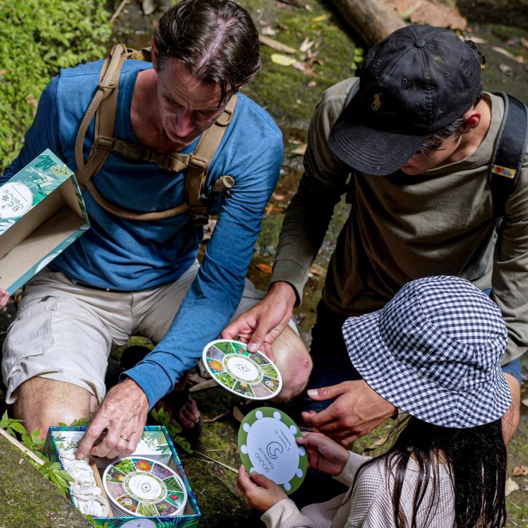 Eco Treasure - Ecogames